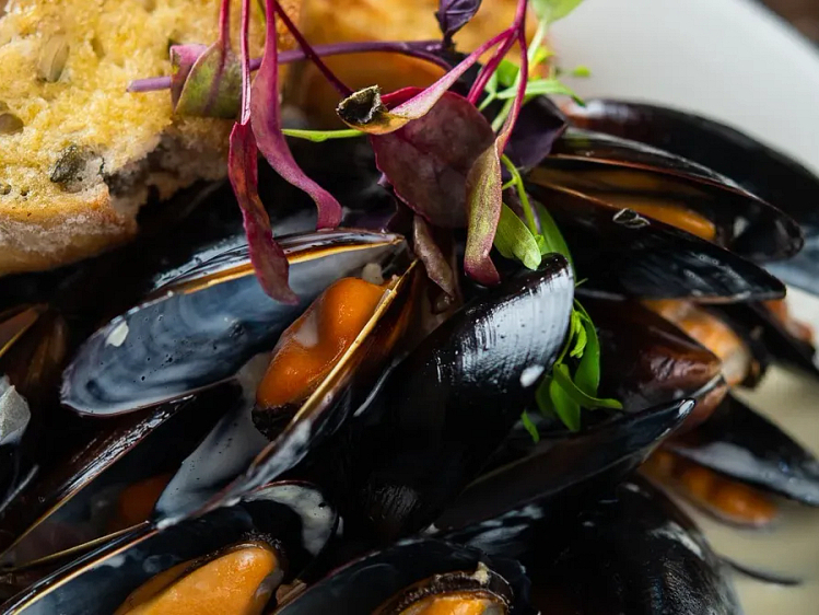 APARAAT - Broneeri laud - Choice